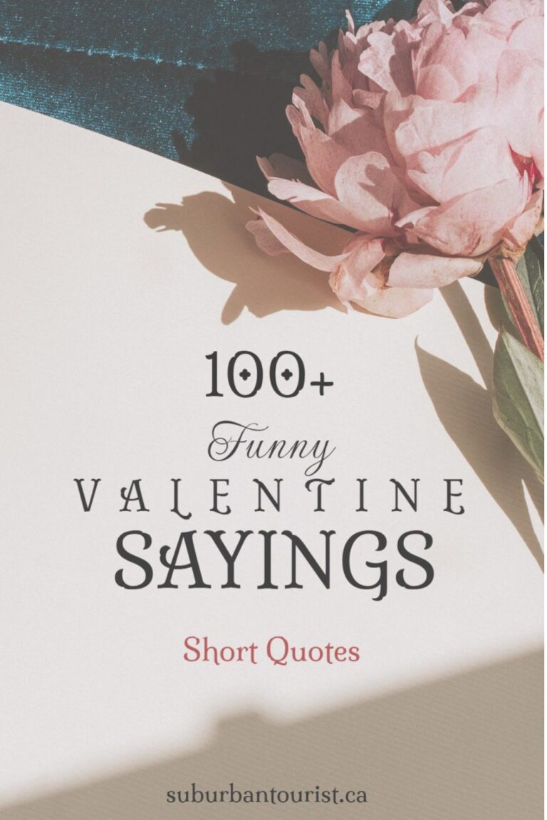 100 Funny Valentine Sayings And Quotes