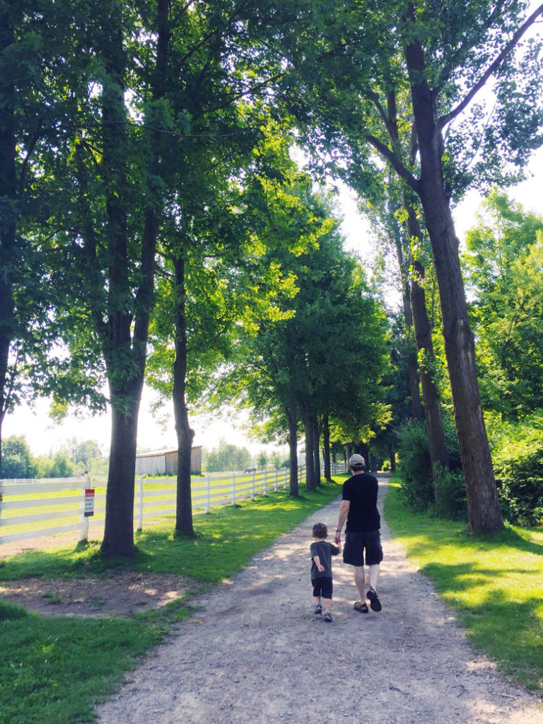 Fall Hiking At Mountsberg Conservation Area: Family Fun