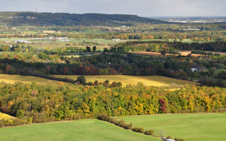 Mount Nemo Conservation Area Is Magic For Early Morning Photos