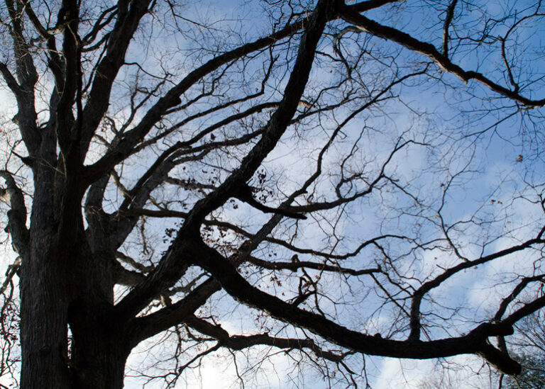 Winter Hiking At Dundas Valley Conservation Area - Suburban Tourist